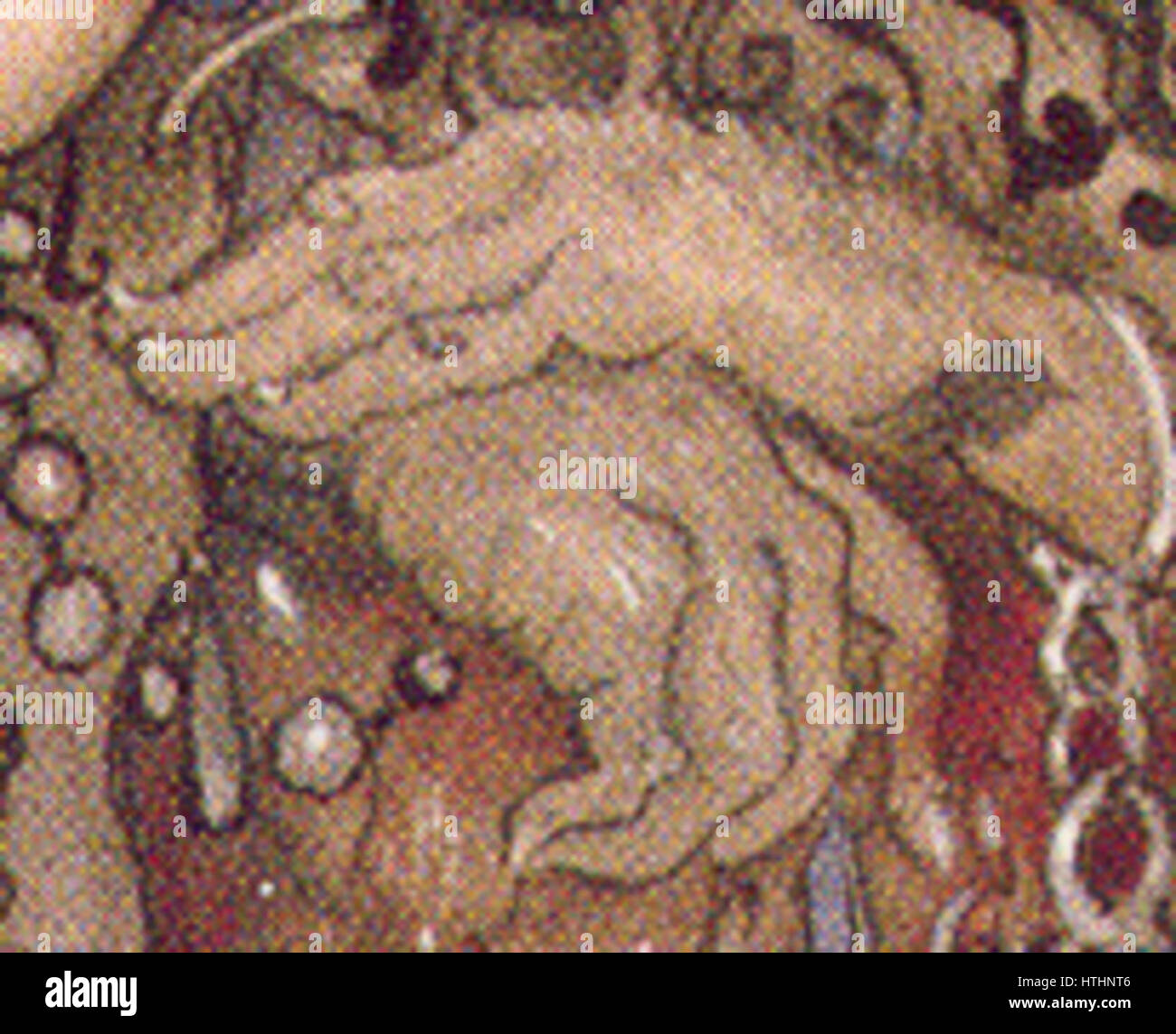 Troll drawing hi-res stock photography and images - Alamy