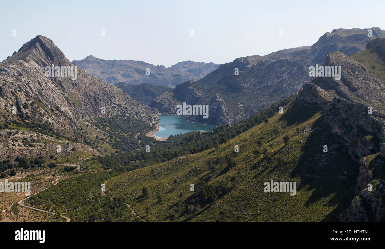 Majorca wildlife hi-res stock photography and images - Alamy