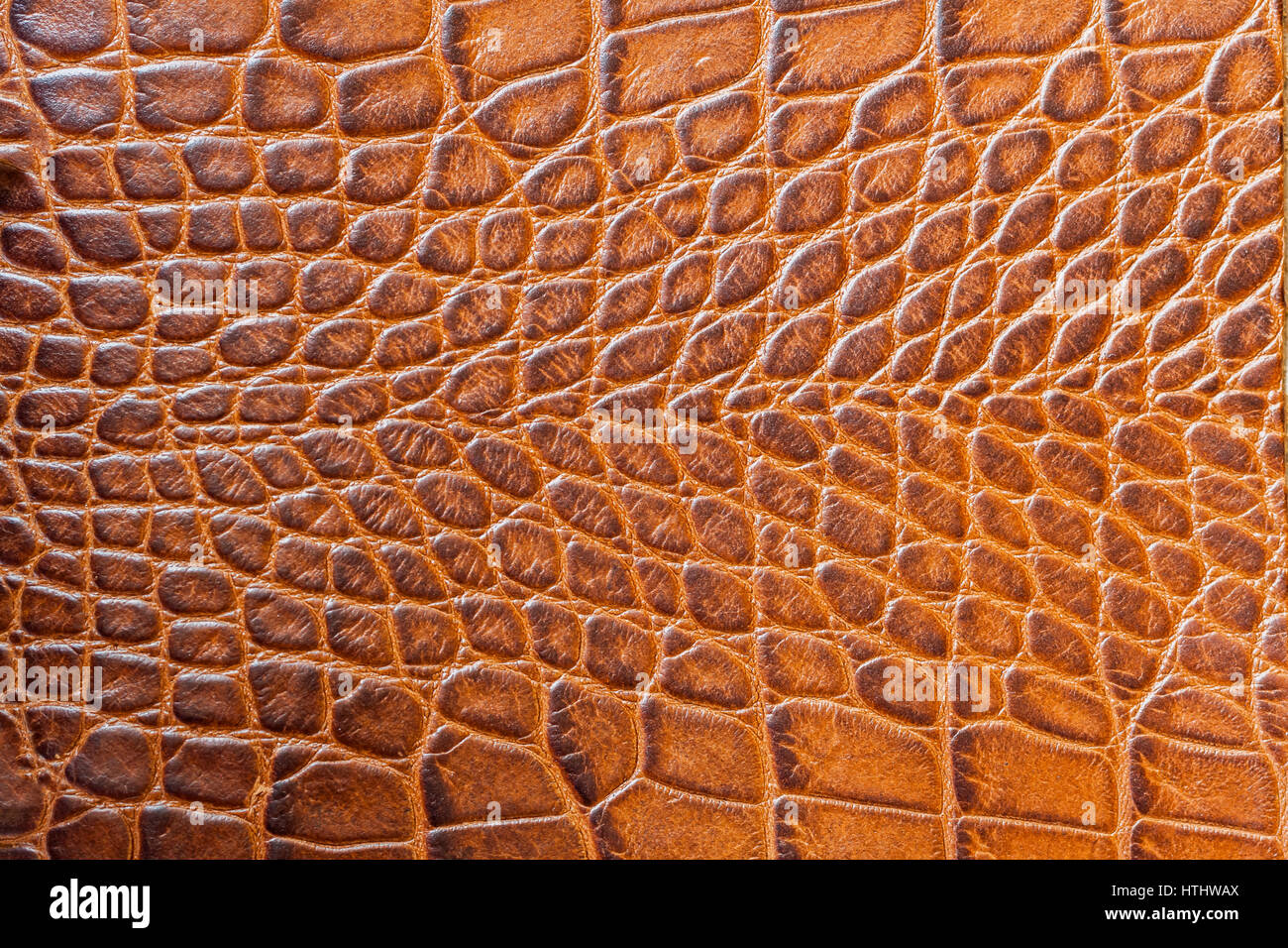 Brown scales macro exotic background, embossed under the skin of a ...