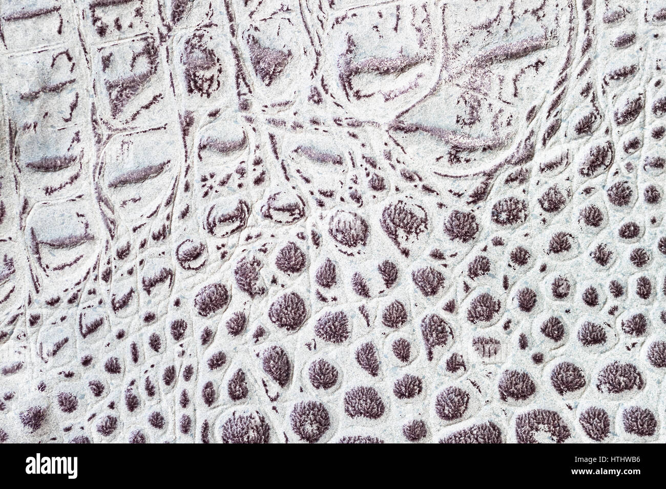 Texture of genuine leather close-up, embossed under the squama skin a ...