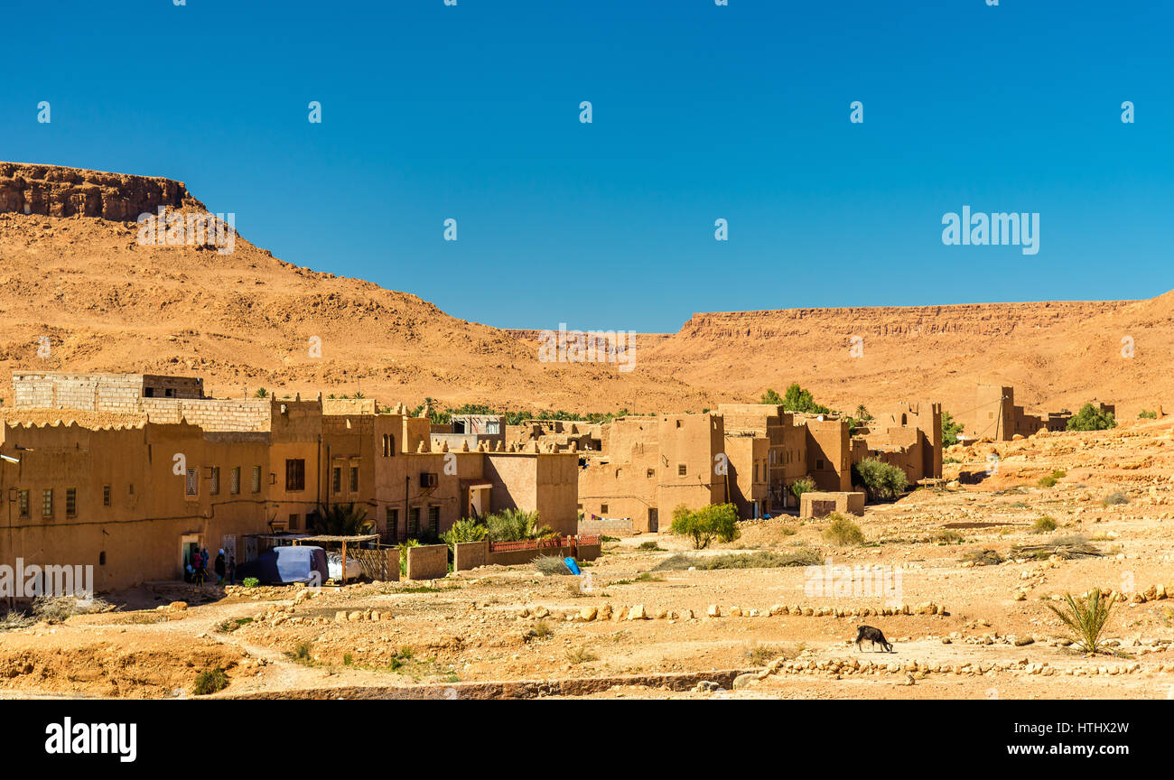 Ziz valley palm hi-res stock photography and images - Alamy