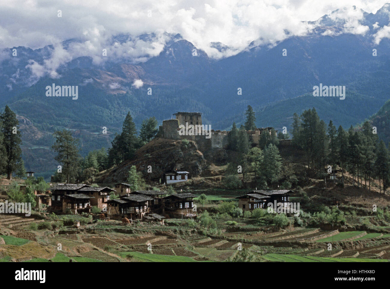 Bhutanese houses in Paro valley, Bhutan, Himalayas Stock Photo - Alamy