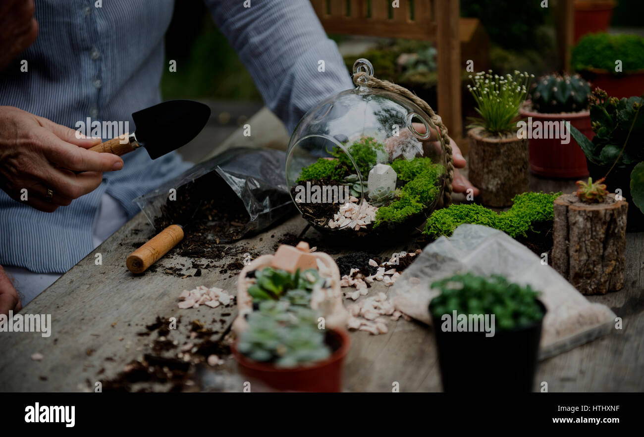 Botanical Environment Greenery Pottery Nature Stock Photo - Alamy