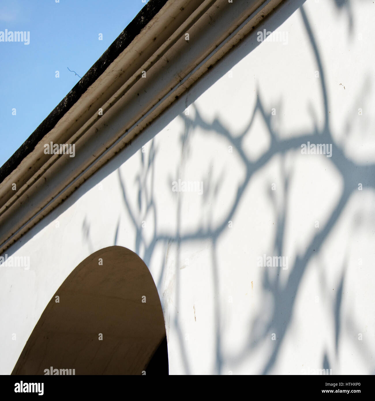 Wall Roof Shadow Branches Nature Stock Photo - Alamy