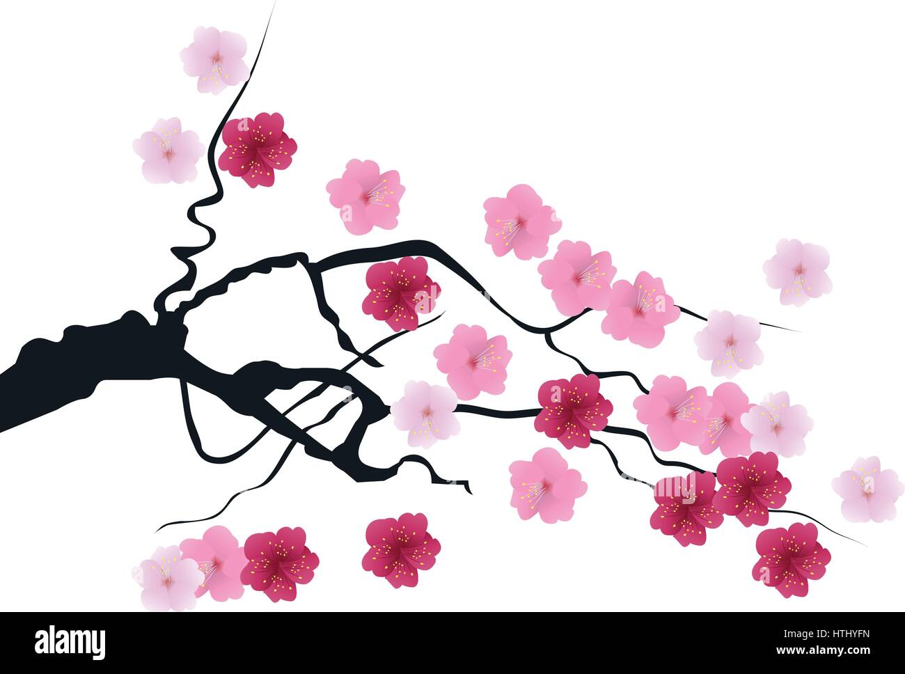 vector illustration of a cherry blossom branch Stock Vector Image & Art ...