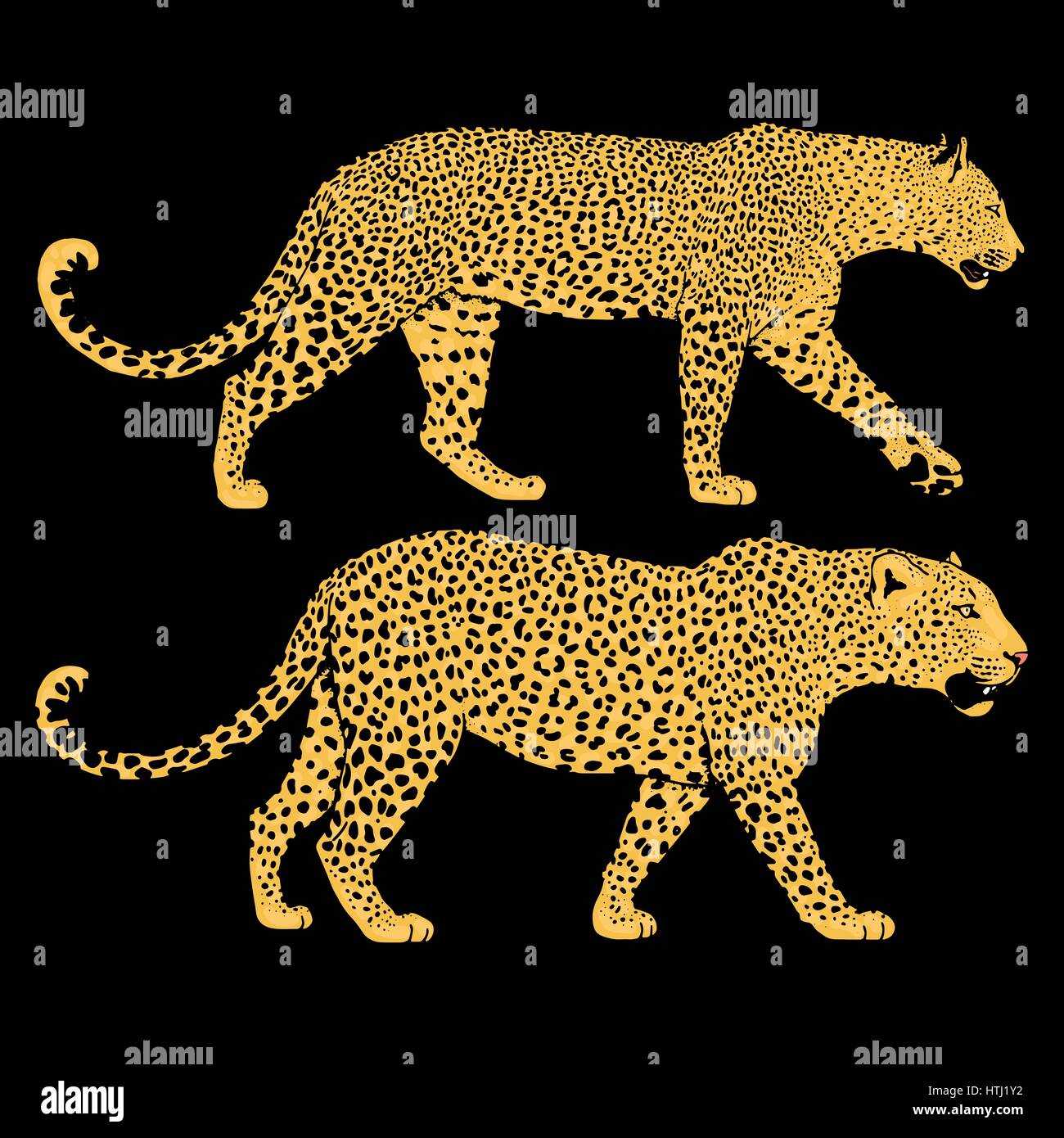 illustration of leopard, graphic vector animal Stock Vector Image & Art ...