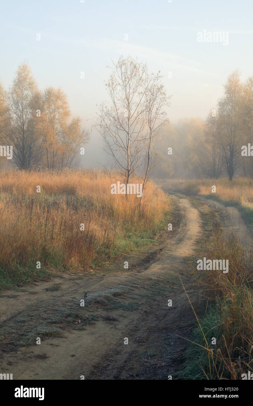 Beauty of fading hi-res stock photography and images - Alamy