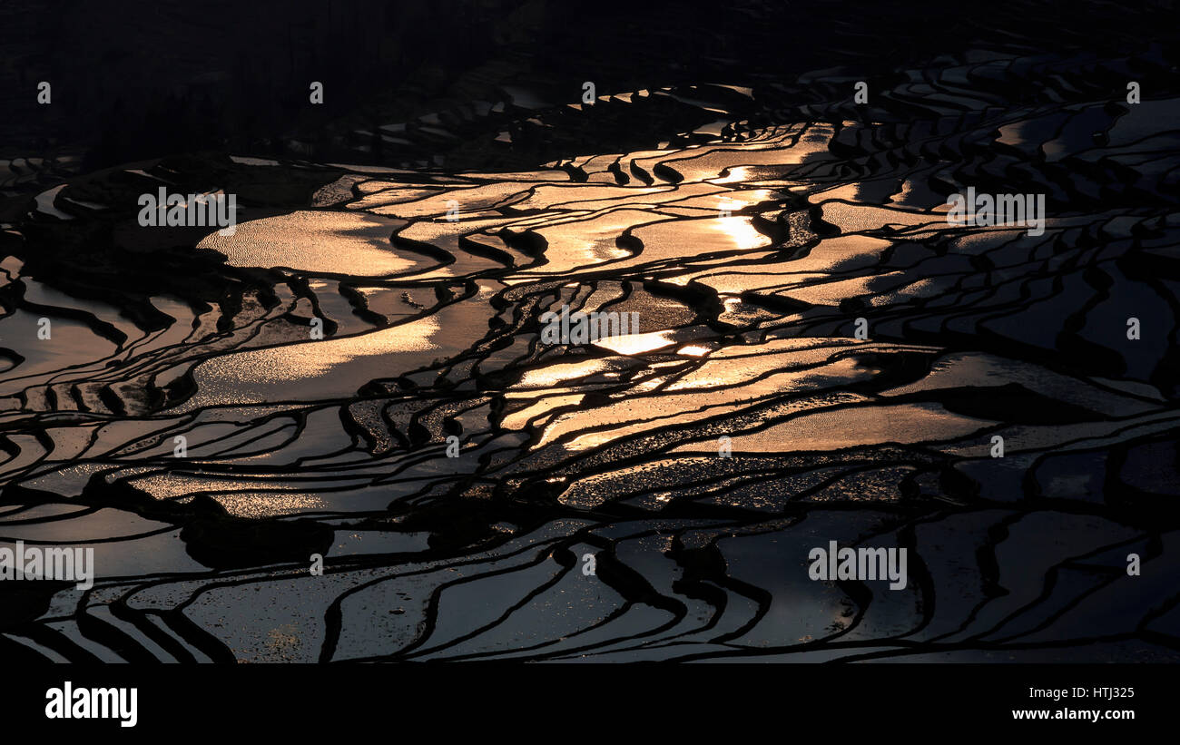 Sunset over YuanYang rice terraces in Yunnan, China, one of the latest ...