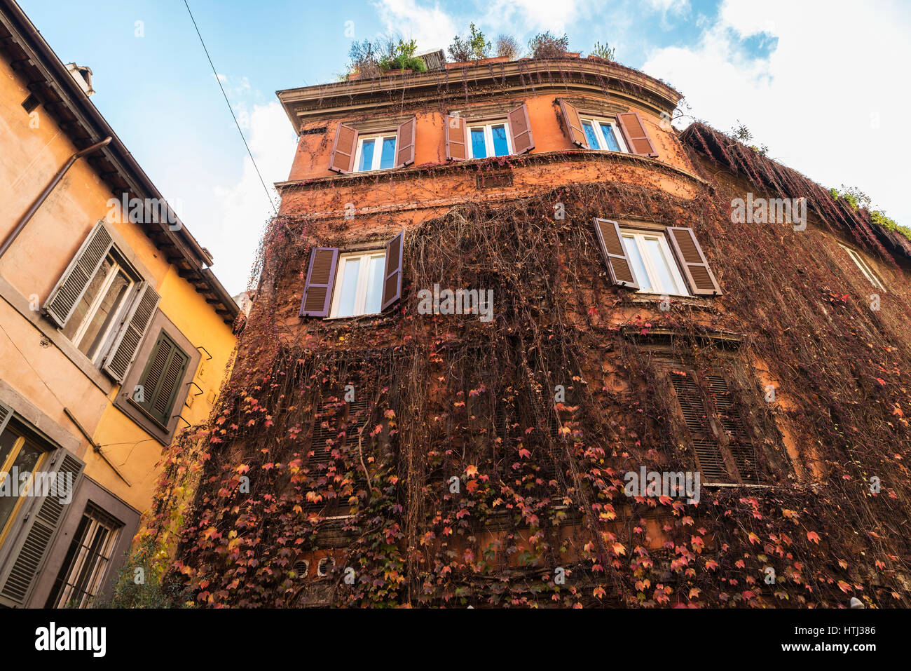 Facade of an old classic building wrapped in a creeper in the ...