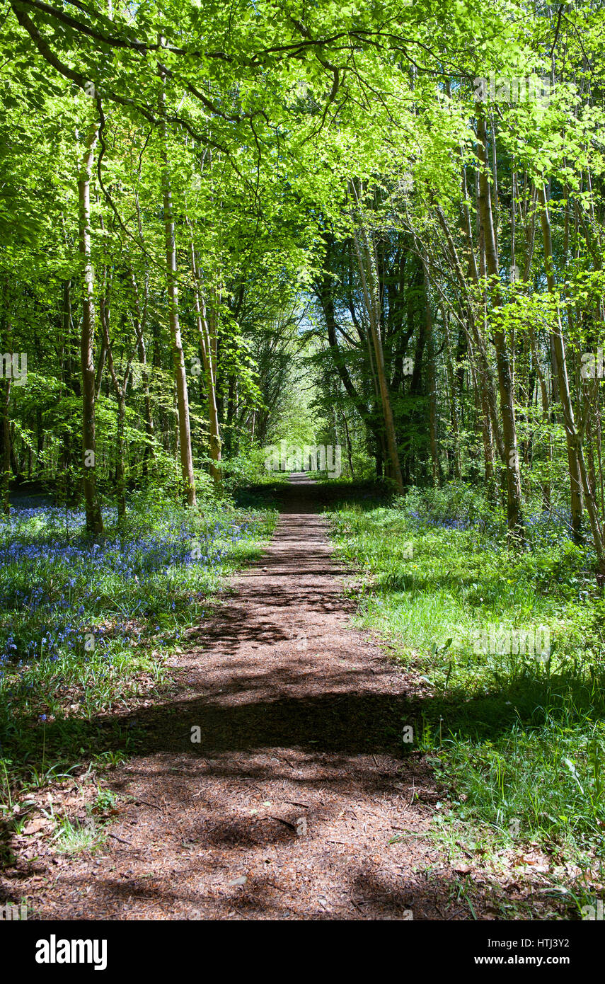 Lovely irish scenery hi-res stock photography and images - Alamy