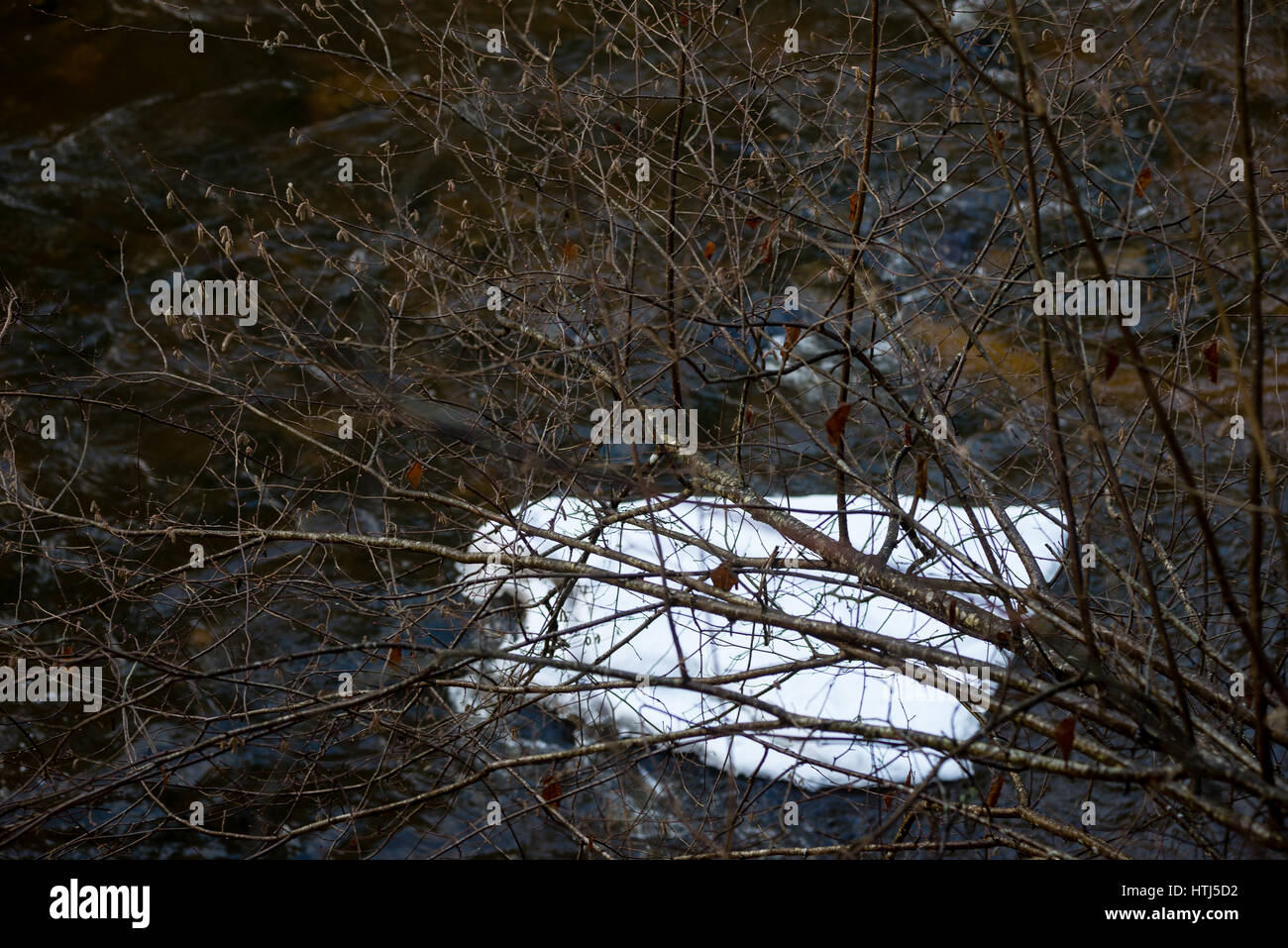 frozen countryside scene in winter with snow. iced river with blocks of ...