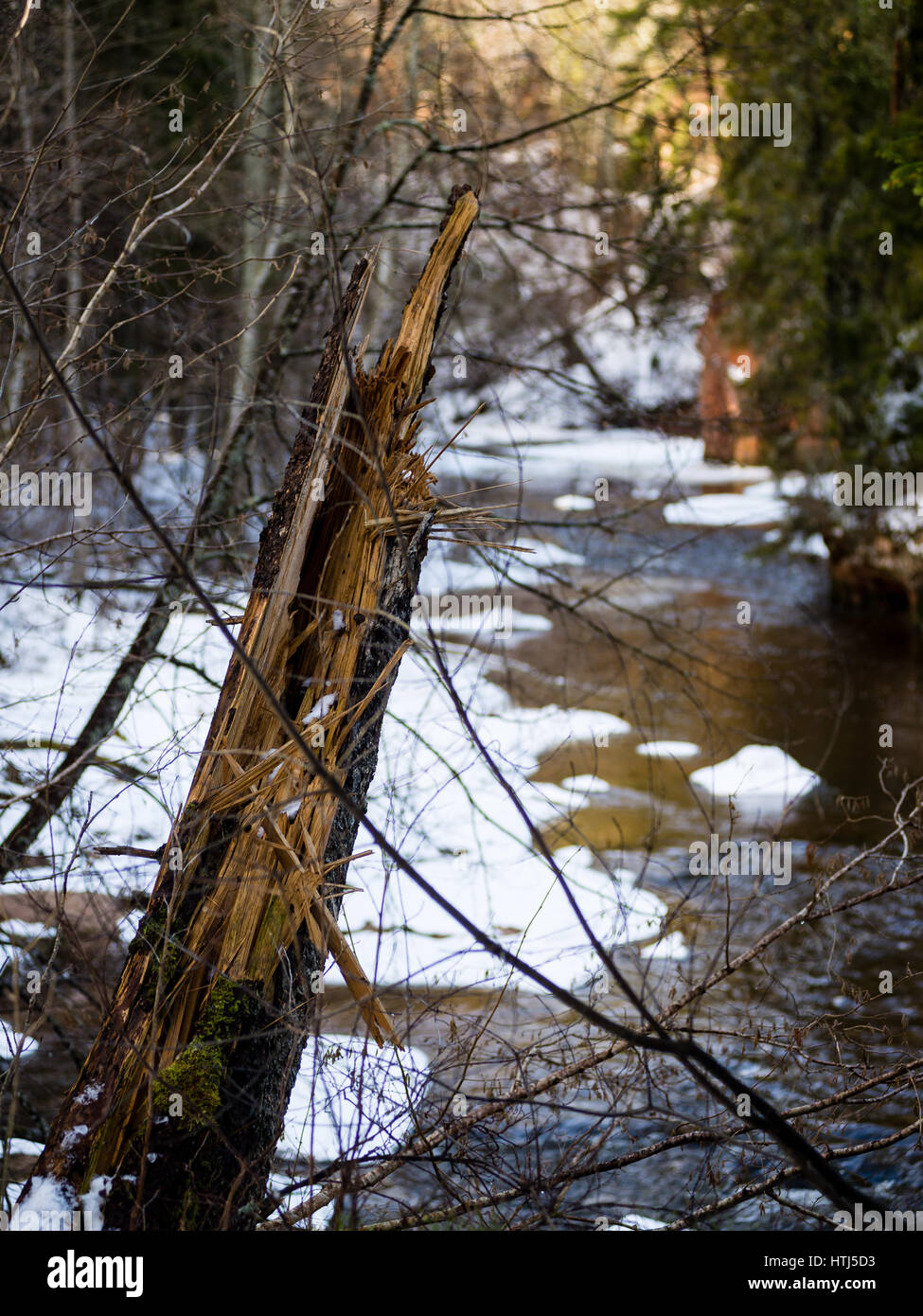 frozen countryside scene in winter with snow. iced river with blocks of ...