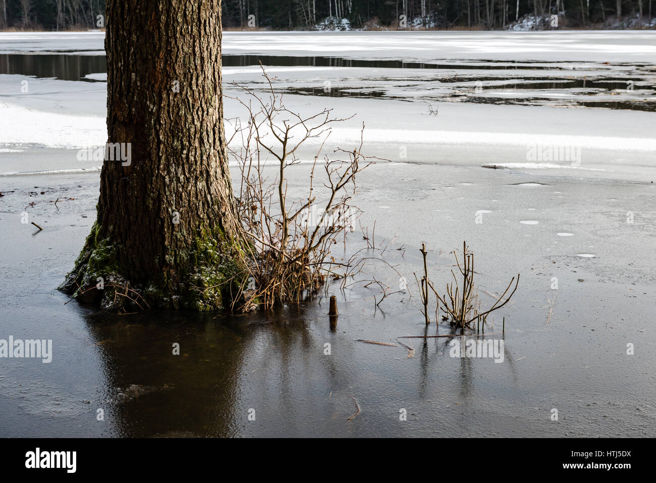 frozen countryside scene in winter with snow. iced river with blocks of ...