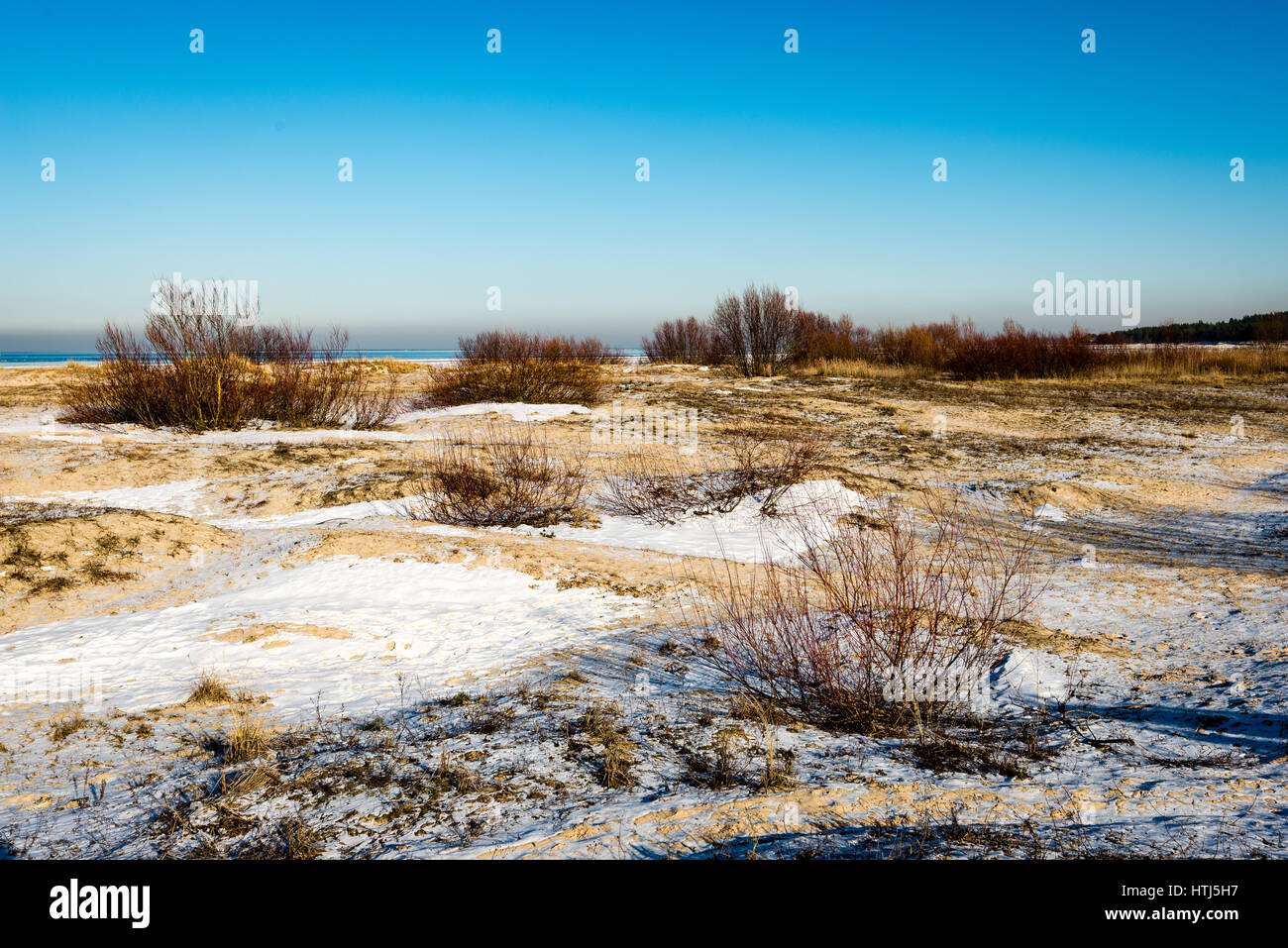 frozen countryside scene in winter. frozen beach view Stock Photo - Alamy