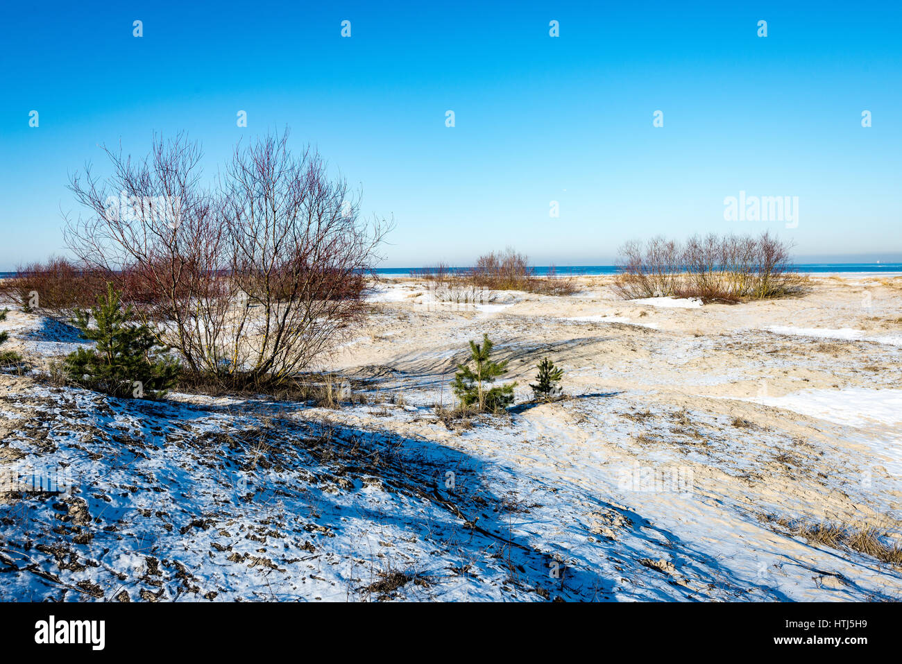 frozen countryside scene in winter. frozen beach view Stock Photo - Alamy