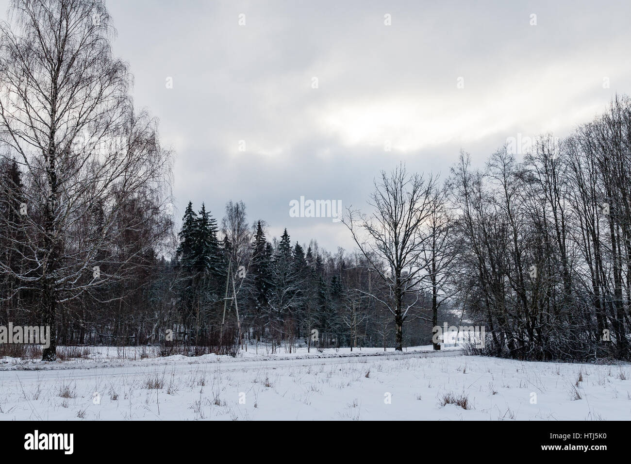frozen countryside scene in winter with snow. snowy forest Stock Photo ...