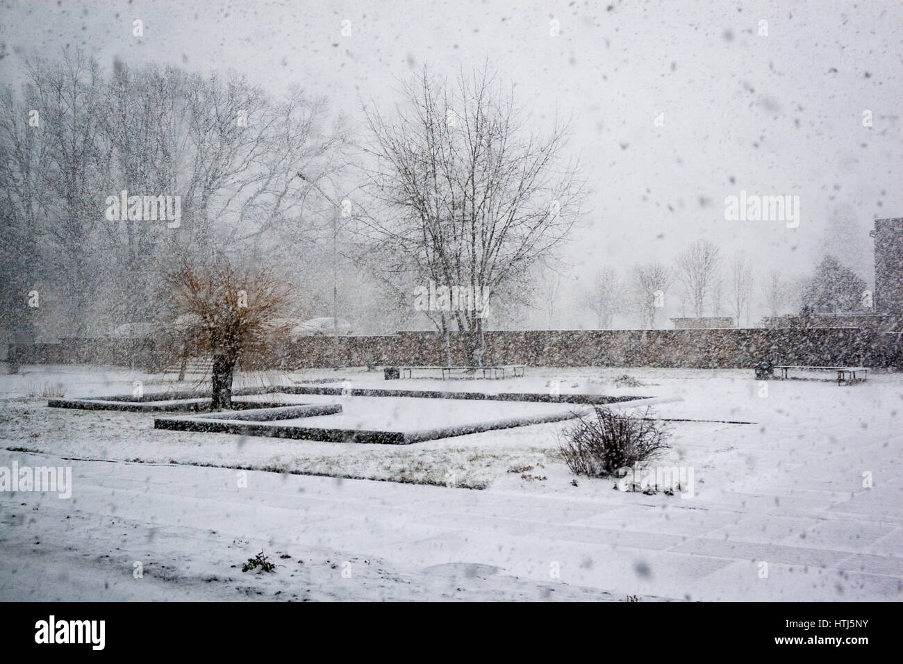 frozen countryside scene in winter with snow. snow storm, blizzard ...
