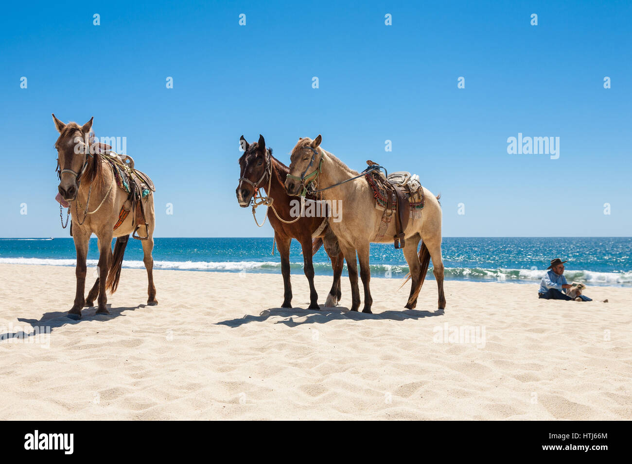 Mexican vaquero hi-res stock photography and images - Alamy