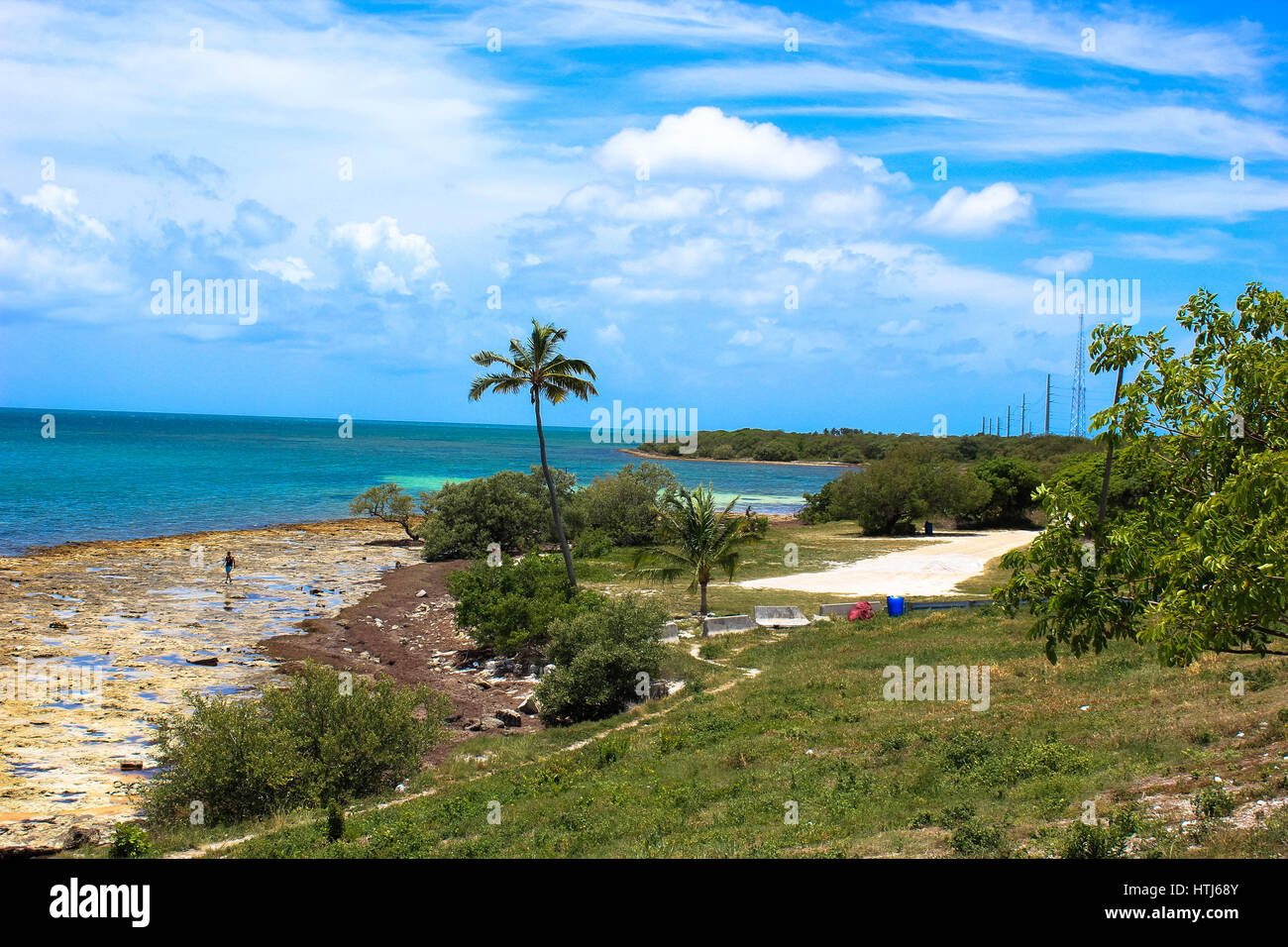 Big pine hi-res stock photography and images - Alamy