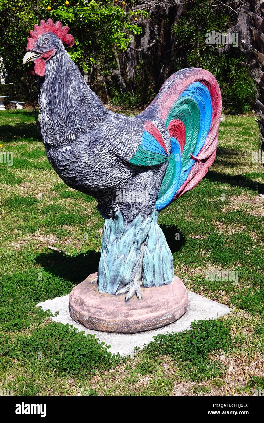 Large rooster statue on a Homosassa lawn Stock Photo - Alamy