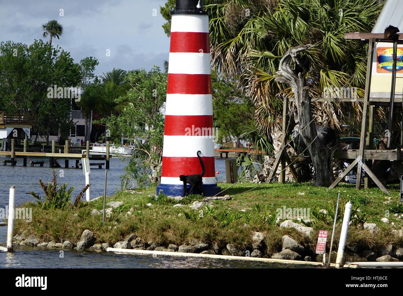 A monkey walks in front to the mock lighthouse on Monkey Island ...
