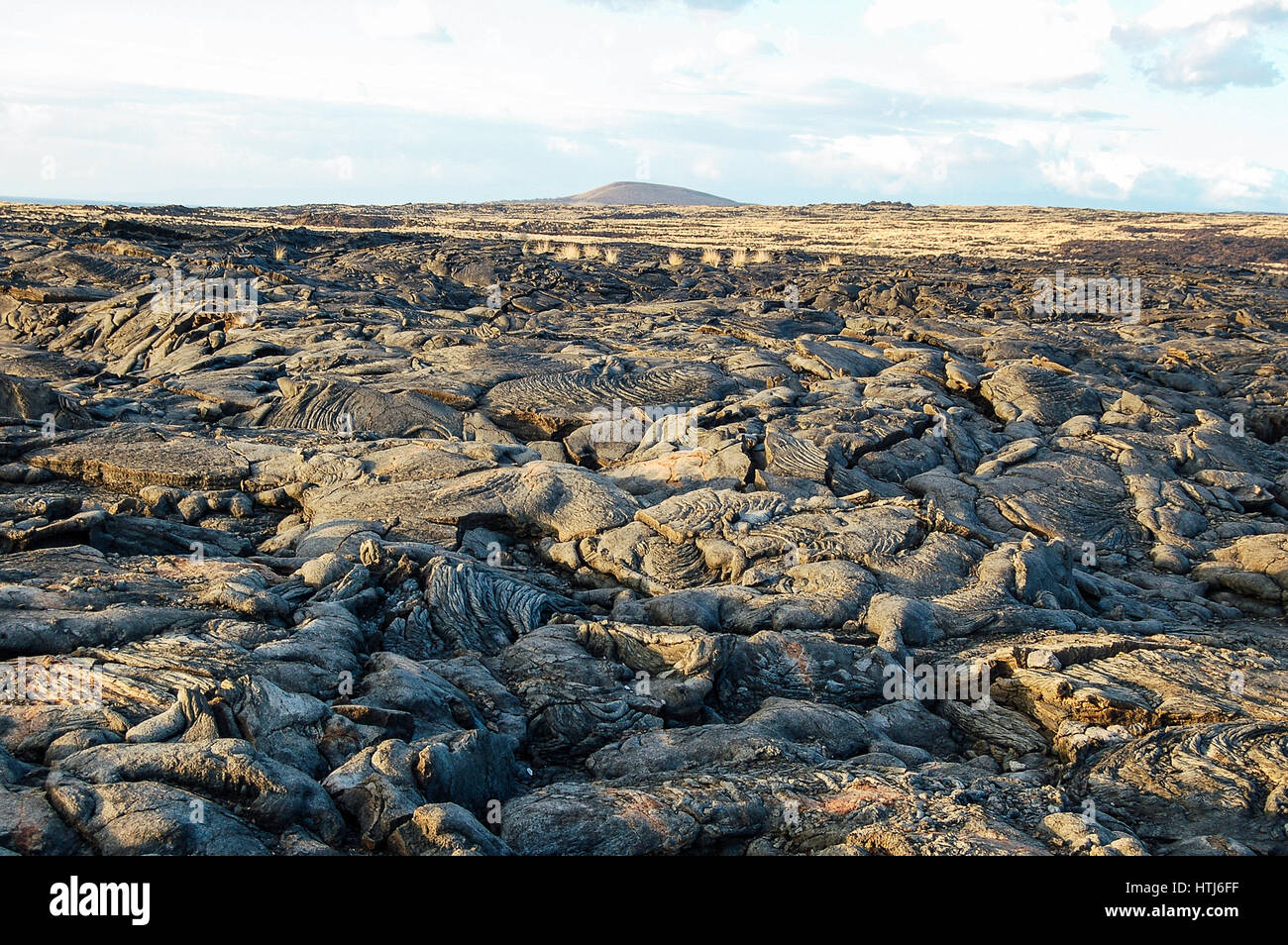 Big kai kai hi-res stock photography and images - Alamy