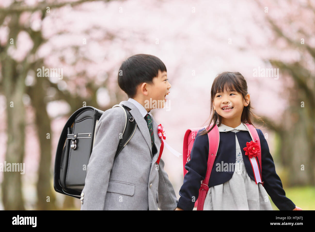 Japanese kids with cherry blossoms in a city park Stock Photo - Alamy