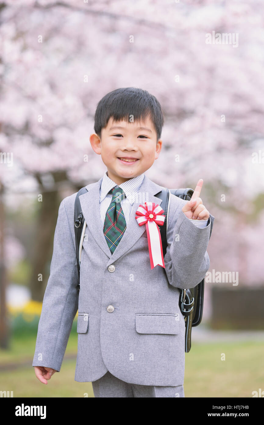 Japanese kid with cherry blossoms in a city park Stock Photo - Alamy