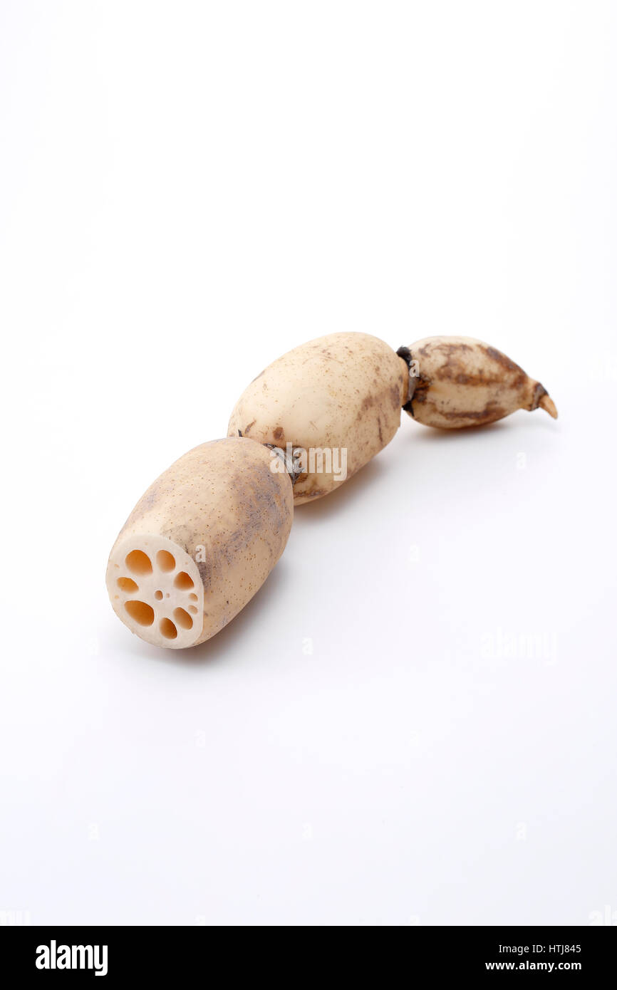 The white lotus still hi-res stock photography and images - Alamy