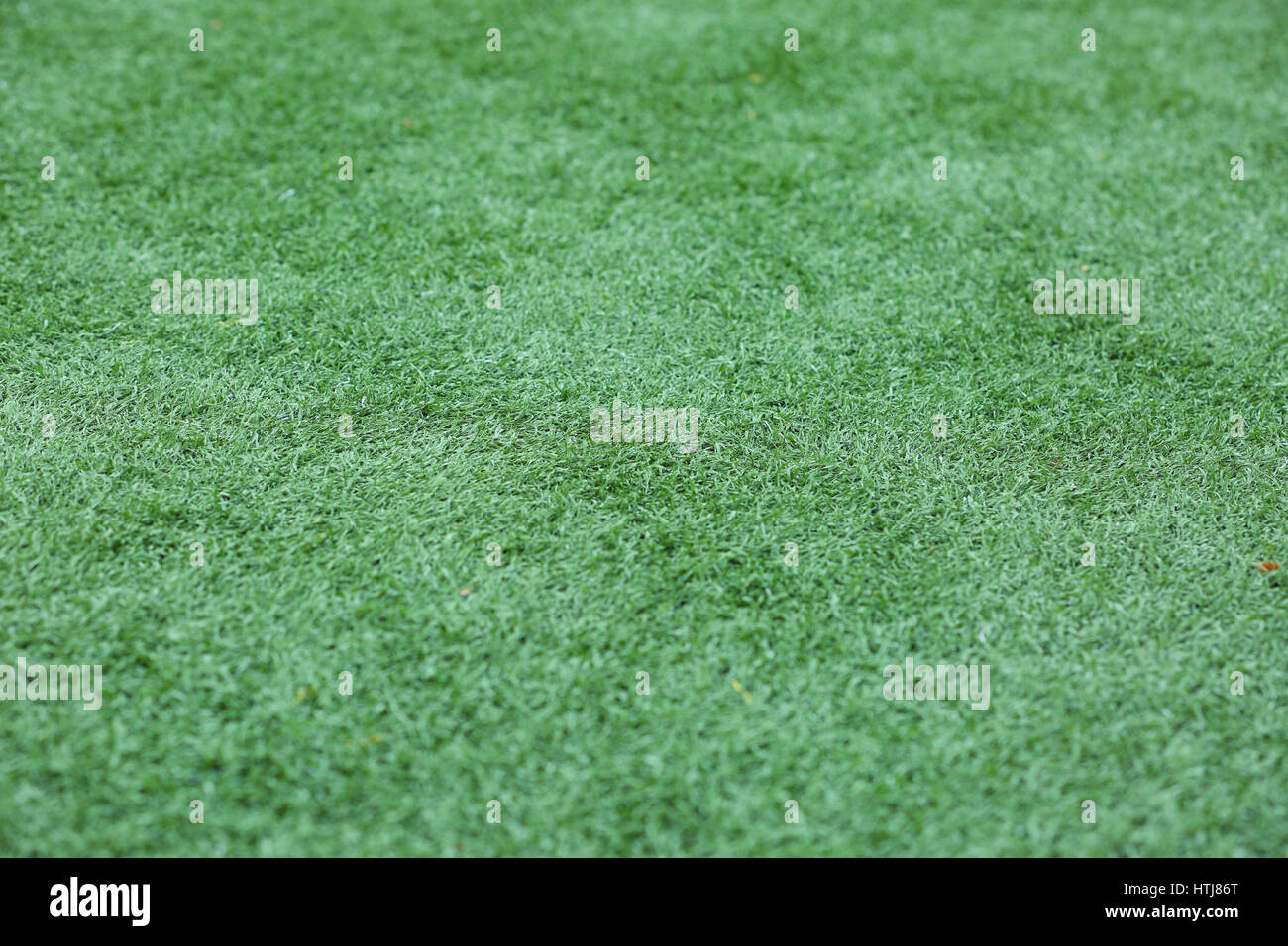 Soccer field grass Stock Photo - Alamy