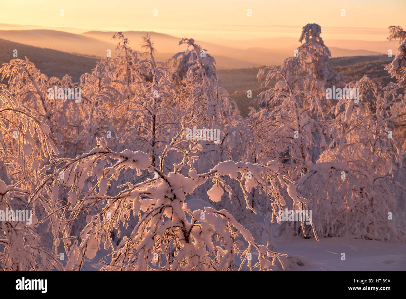 Woodland snow sunset hi-res stock photography and images - Alamy
