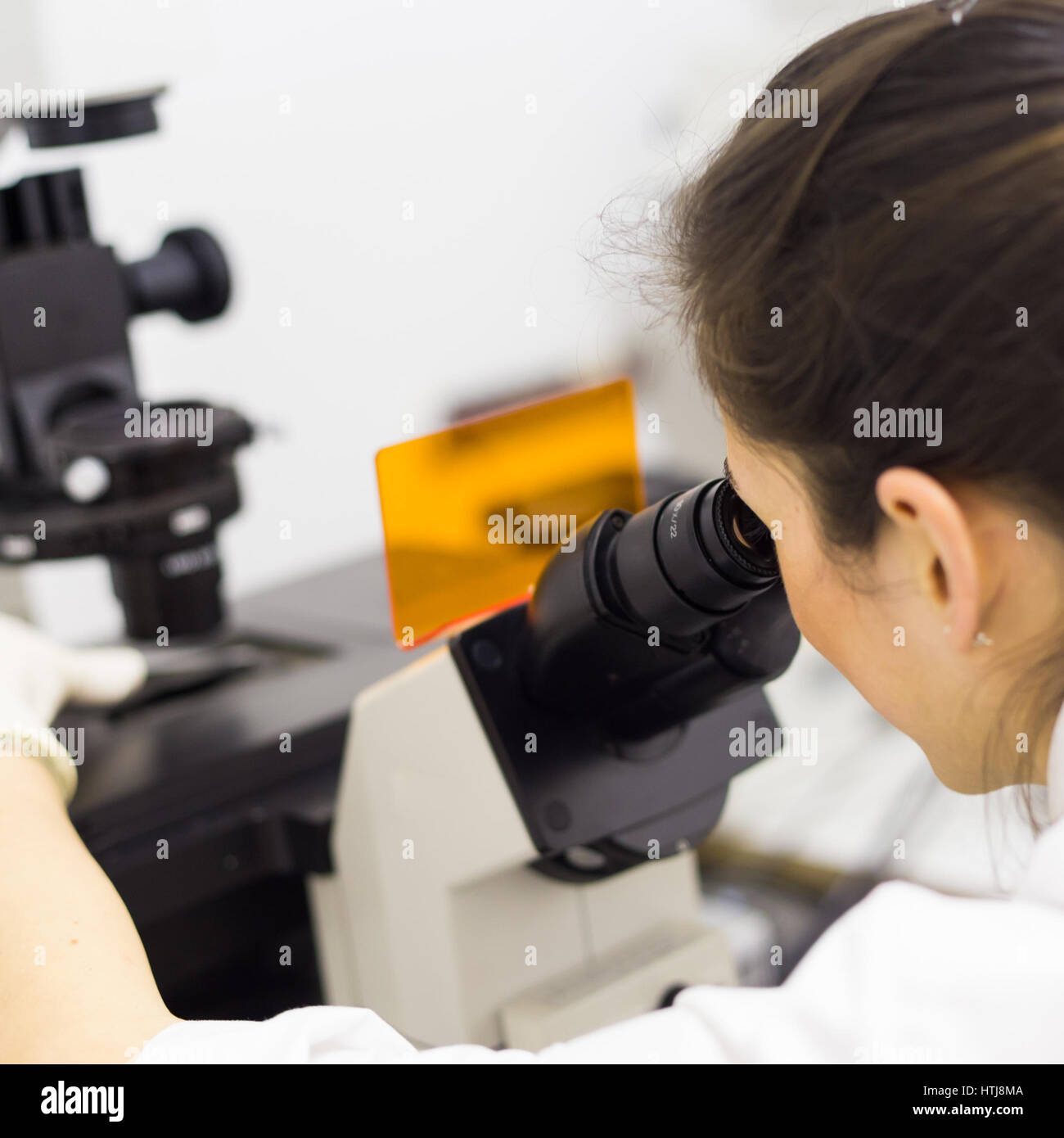 Life science researcher microscoping in genetic scientific laboratory ...