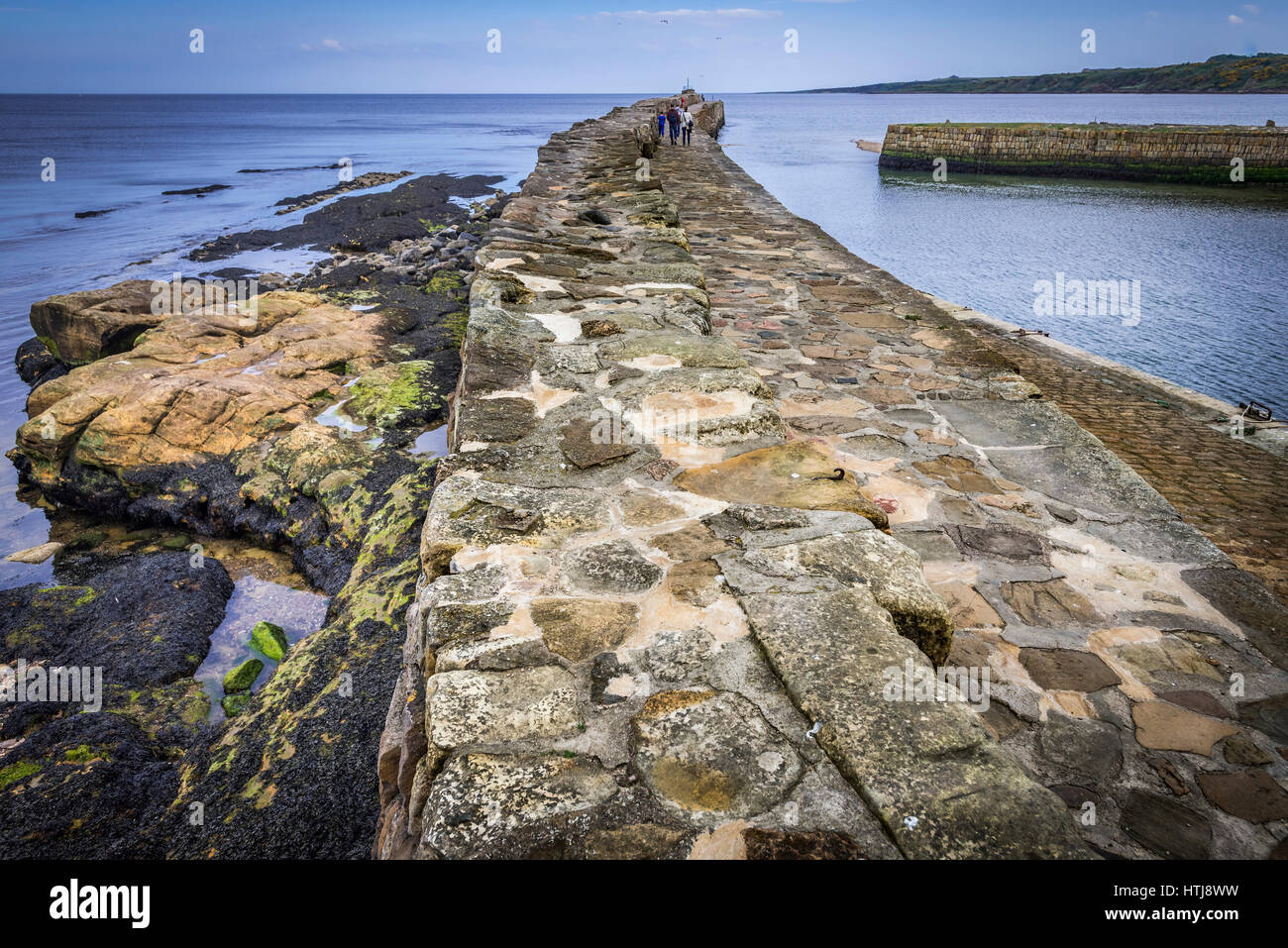 St andrews harbour pier hi-res stock photography and images - Alamy