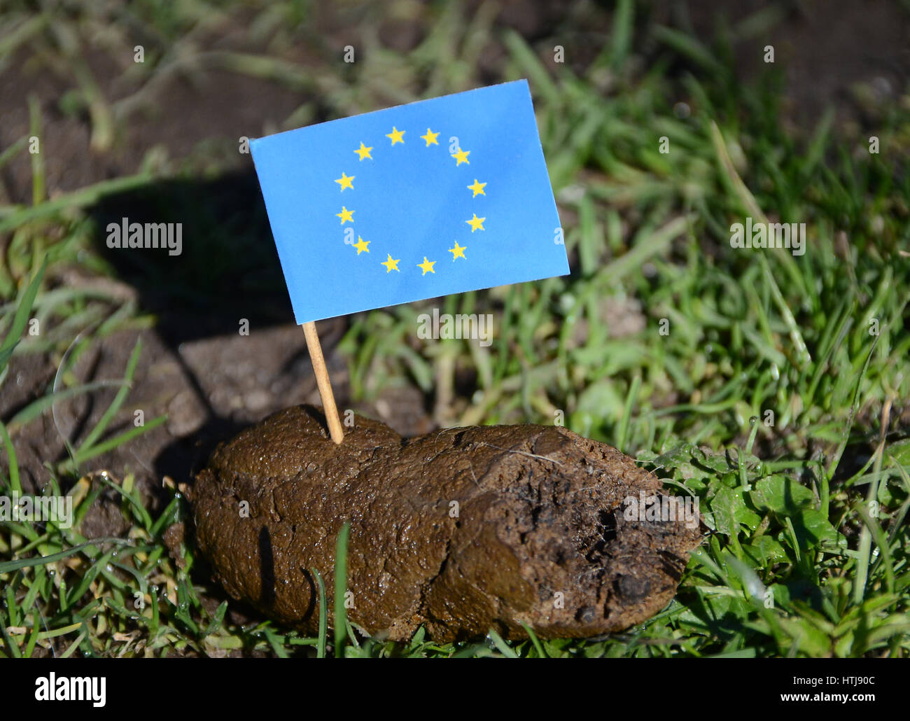 Small EU flag placed in a dog's poop Stock Photo - Alamy