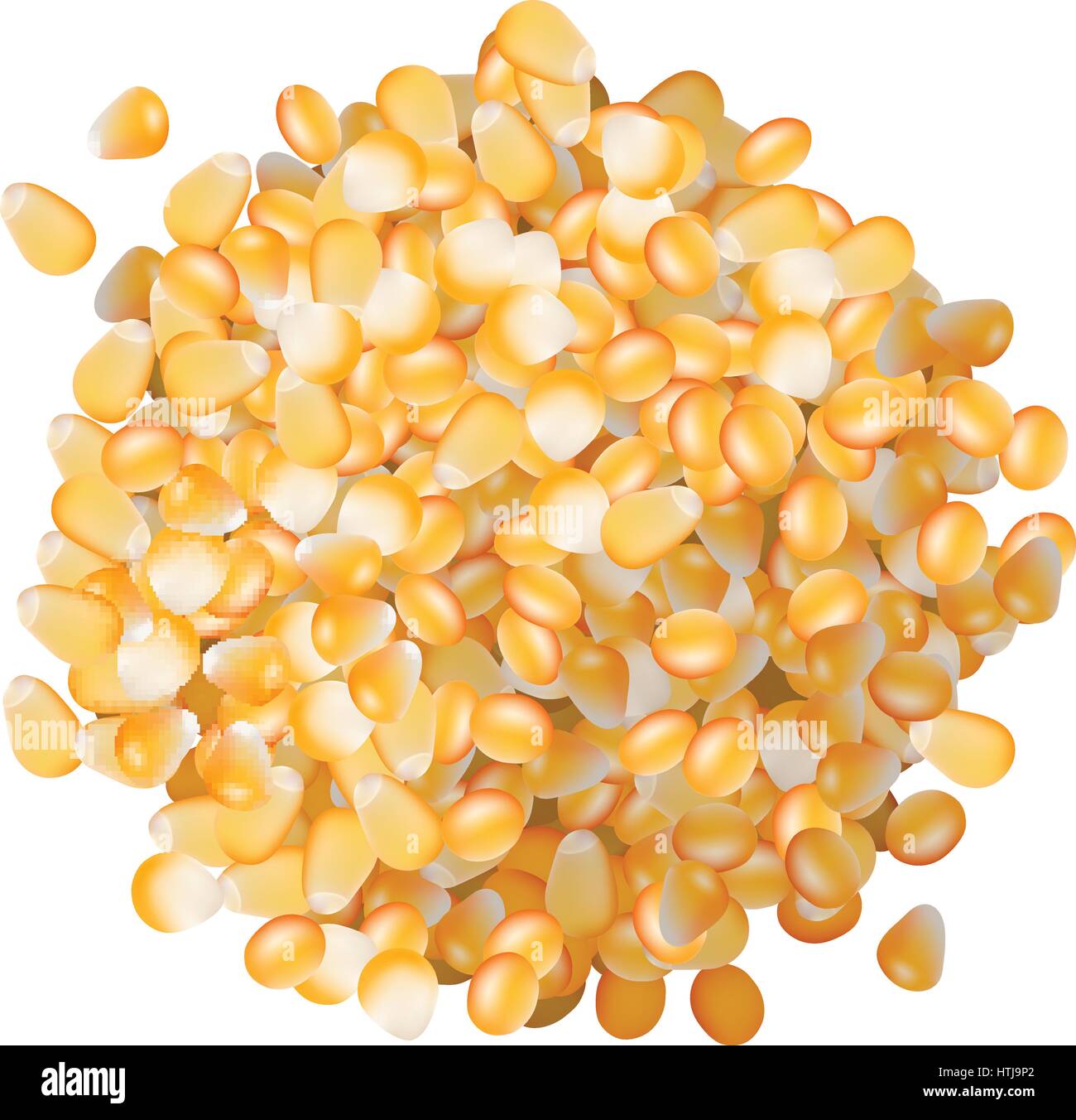 Corn seeds pile top view on white background Stock Vector Image & Art ...