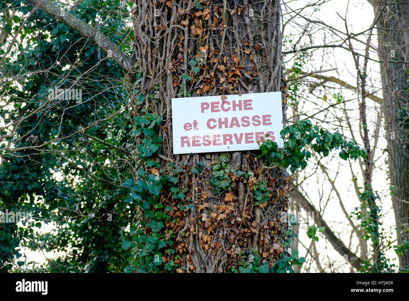 Fishing and hunting reserve sign on tree in Rivas in the Loire region ...