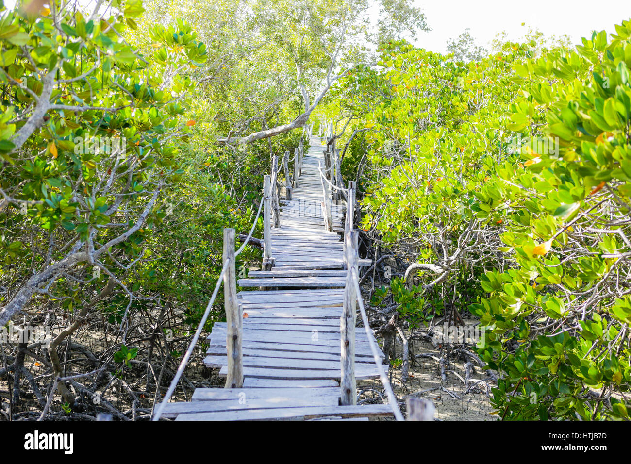 Mida creek hi-res stock photography and images - Alamy