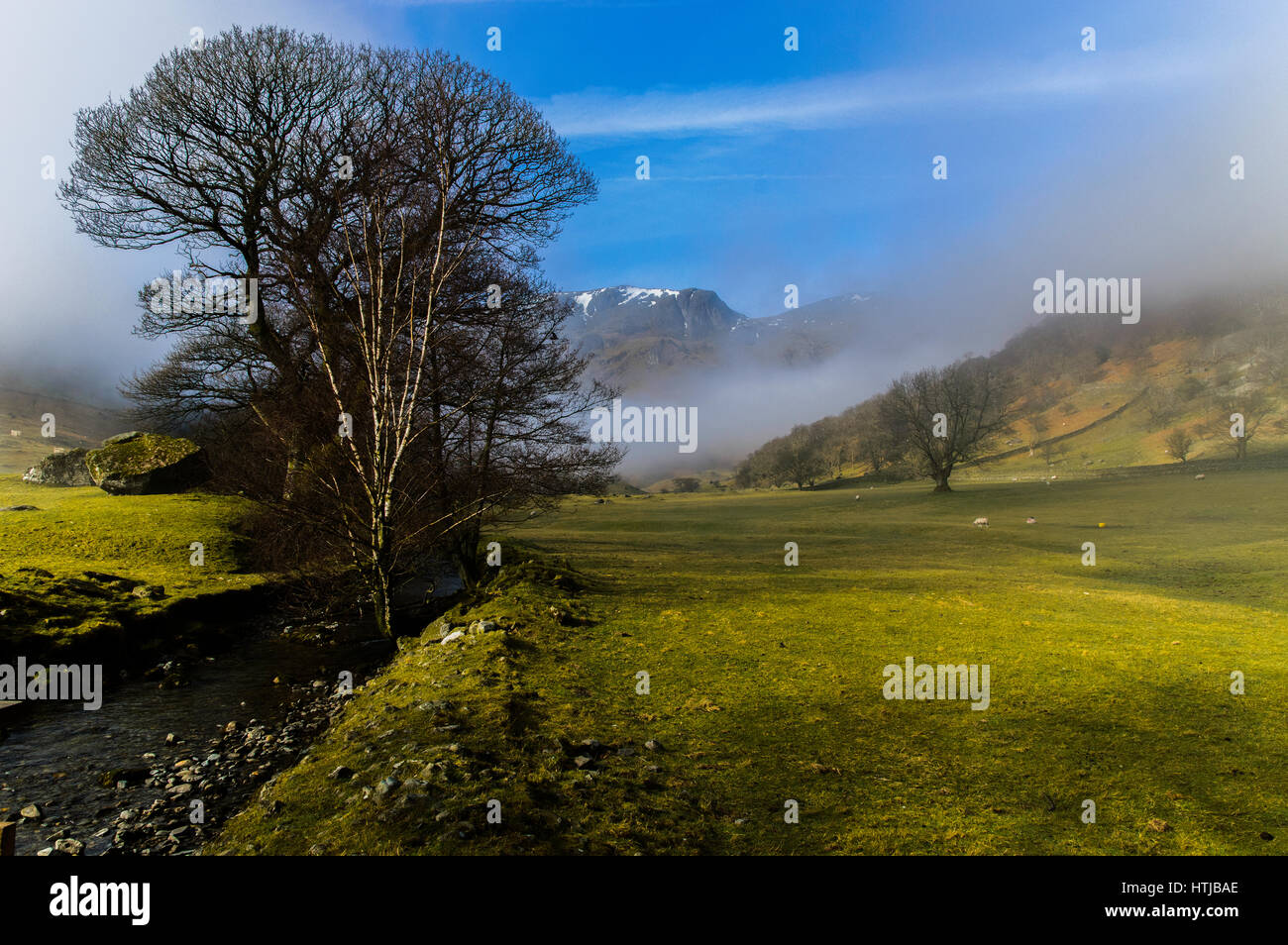 Lake district spring hi-res stock photography and images - Alamy