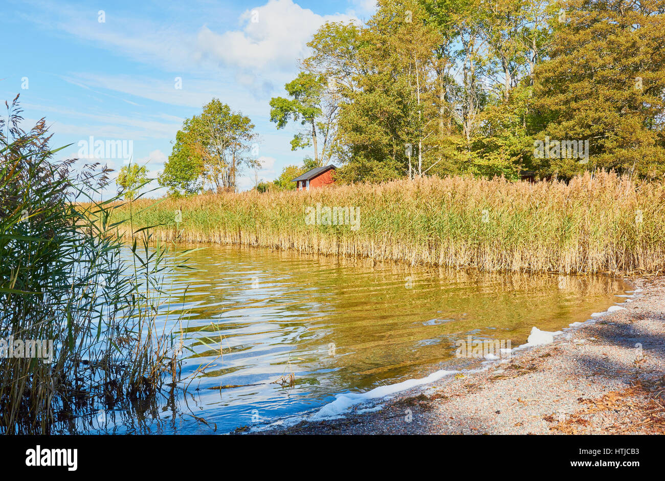 Timber cabin hidden amongst nature and shingle beach, Grinda, Stockholm ...