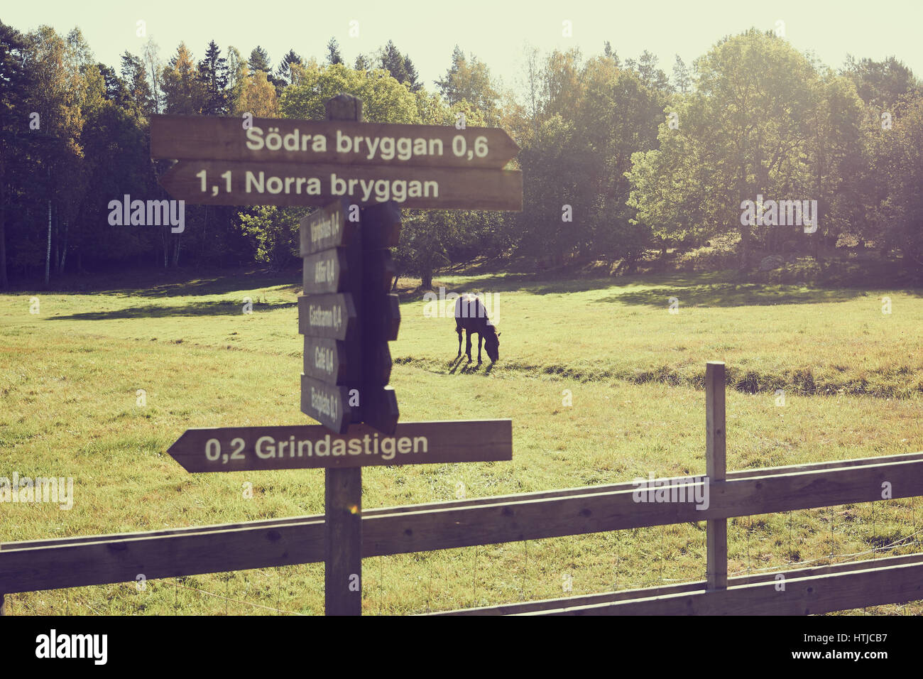 Nature scene on island of Grinda, Stockholm archipelago, Sweden ...