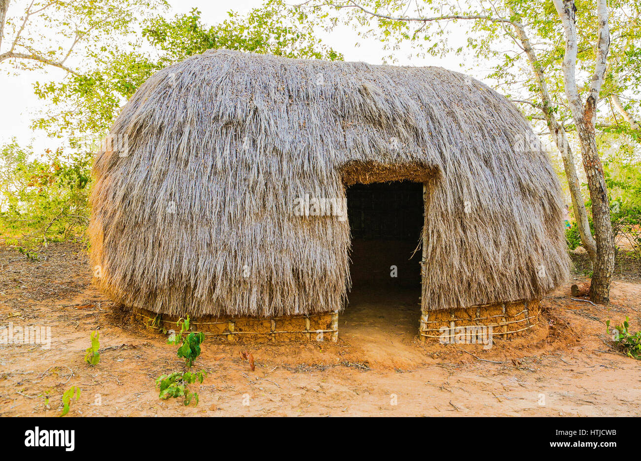 Maasai People Houses
