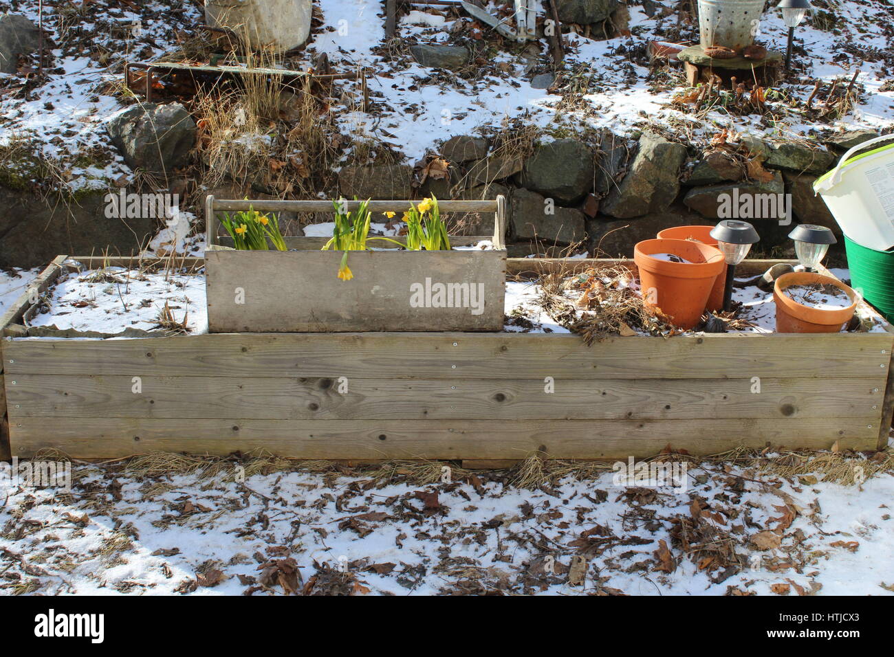 Spring flowers 2017 hi-res stock photography and images - Alamy