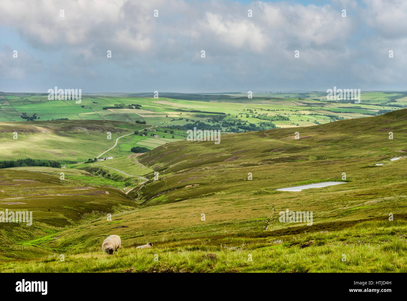 Farmland at The North Pennines, Yorkshire, England Stock Photo - Alamy