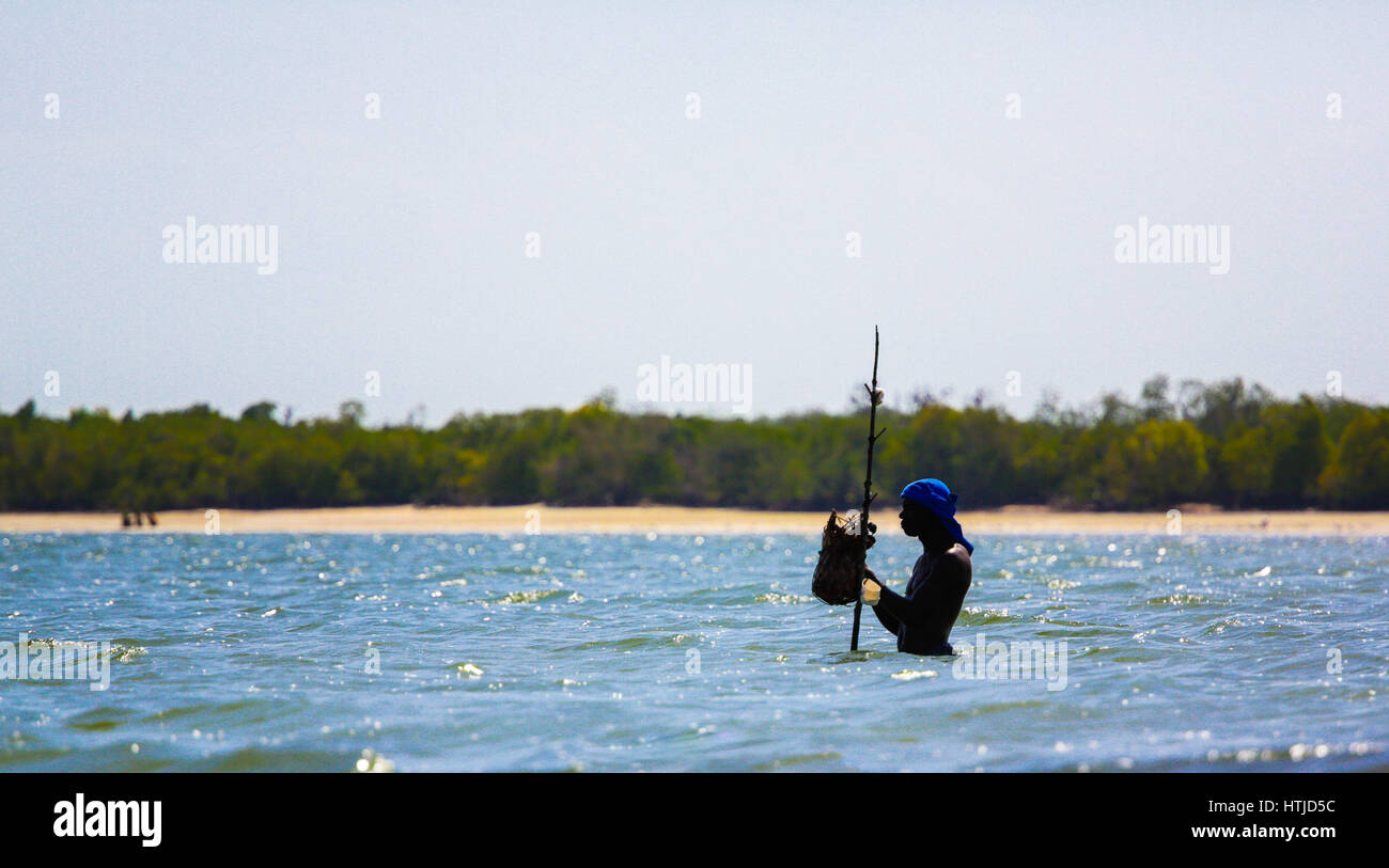Local fisherman fishing in Mida Creek mangroves. Watamu, Kenya Stock ...