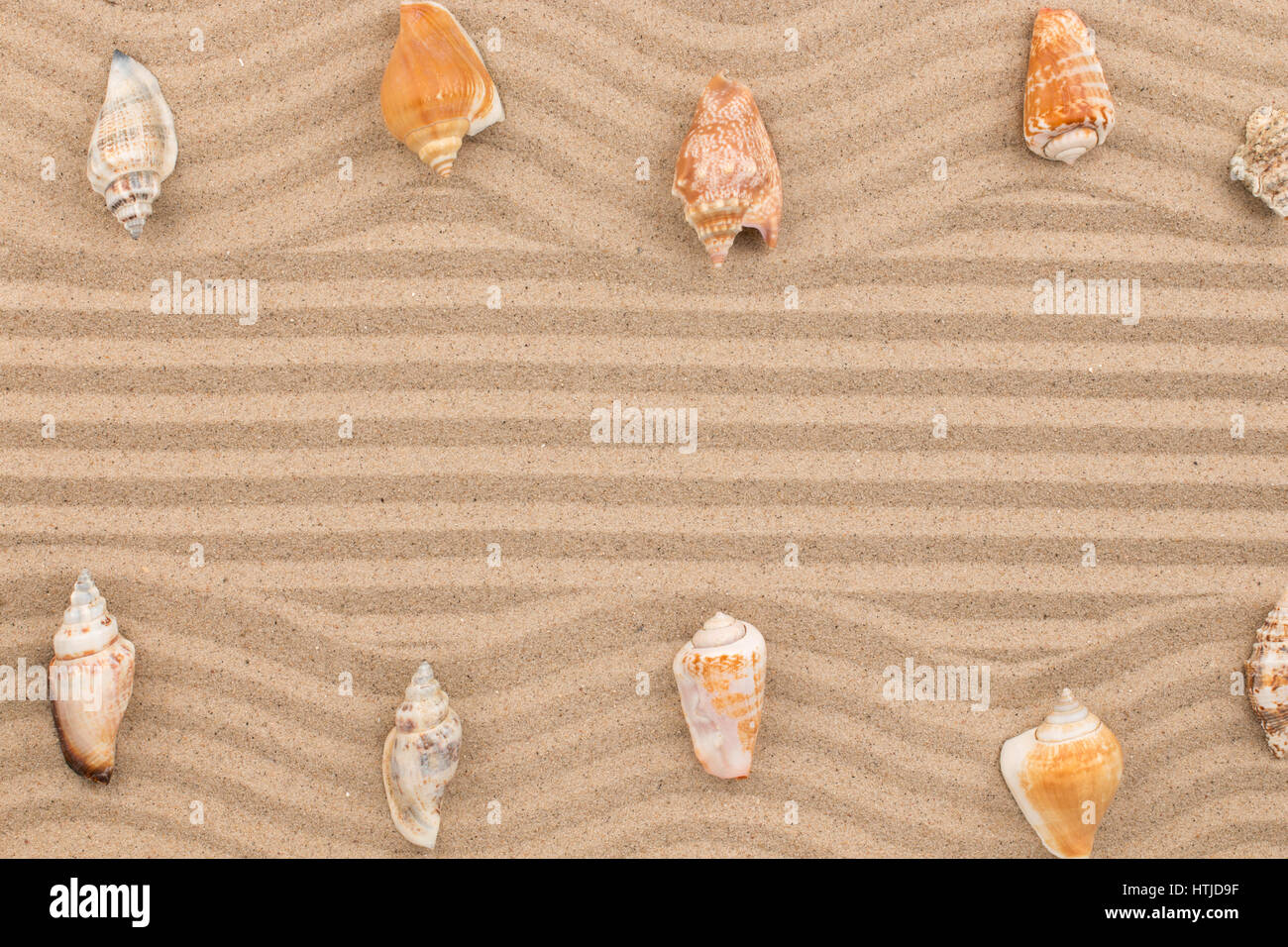 Two rows of seashells lying on the wavy sand, with space for text. View ...