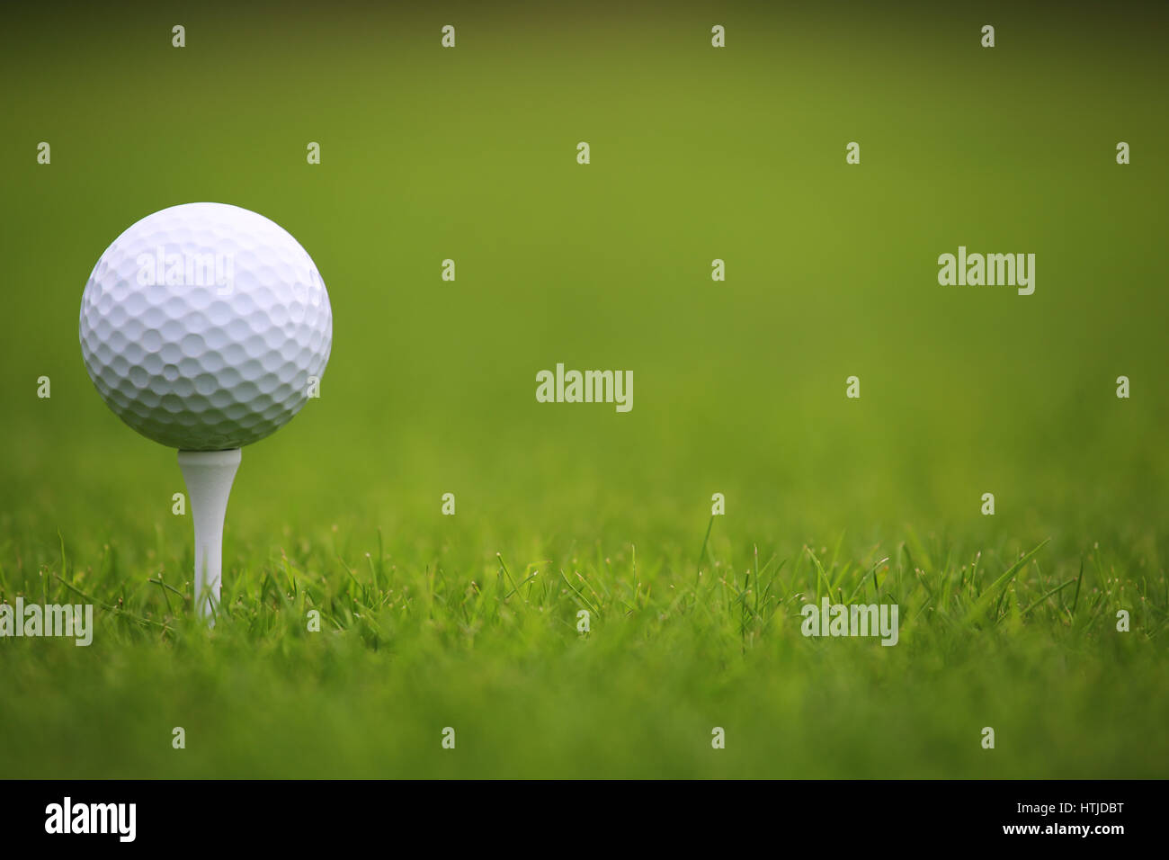 White Golf ball on tee on green grass of golf course Stock Photo - Alamy