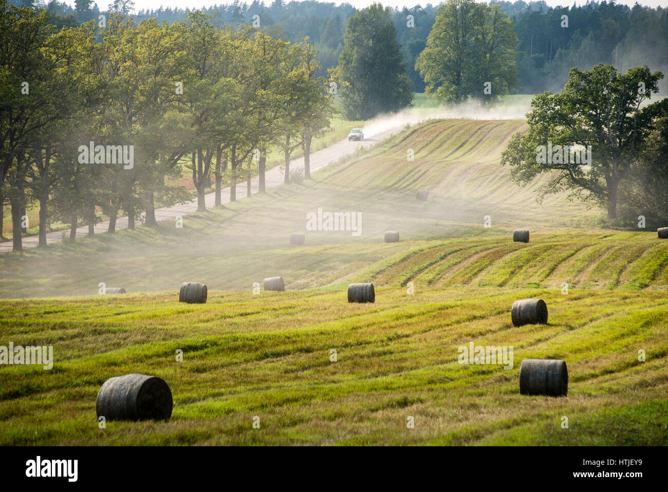 autumn field in bright day in countryside with rolls of hay Stock Photo ...