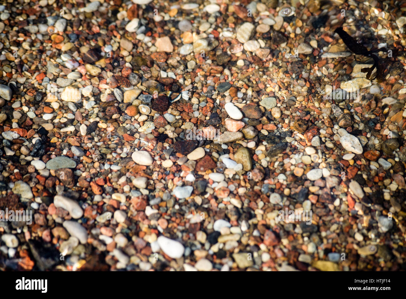 small pebble rock background texture at the beach Stock Photo - Alamy