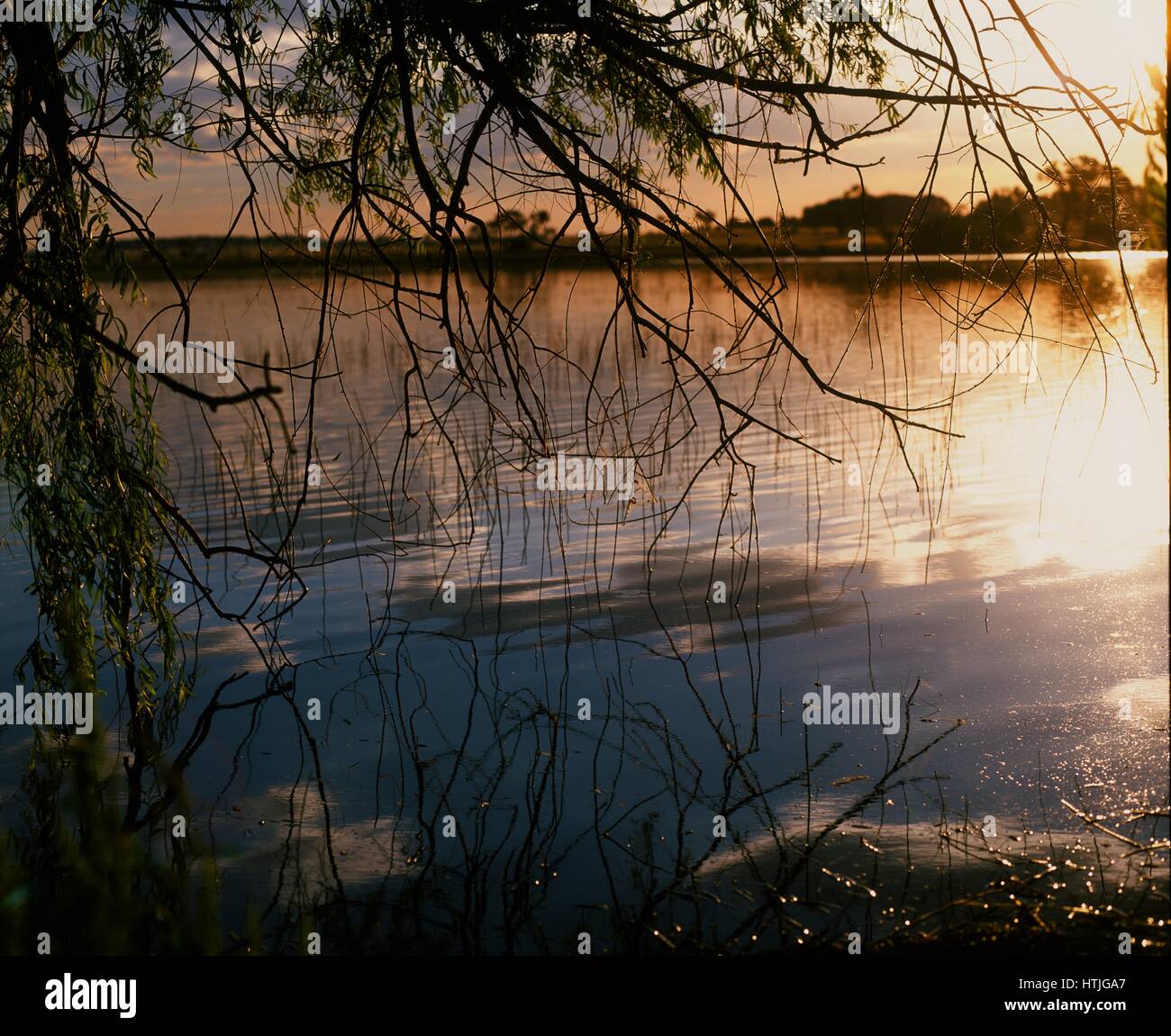 Weeping willow tree and water hi-res stock photography and images - Alamy