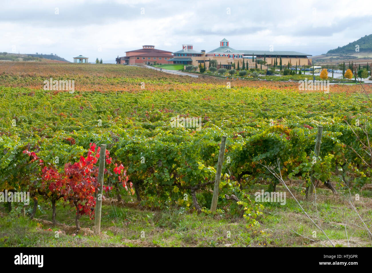 Bodegas de vino hi-res stock photography and images - Alamy